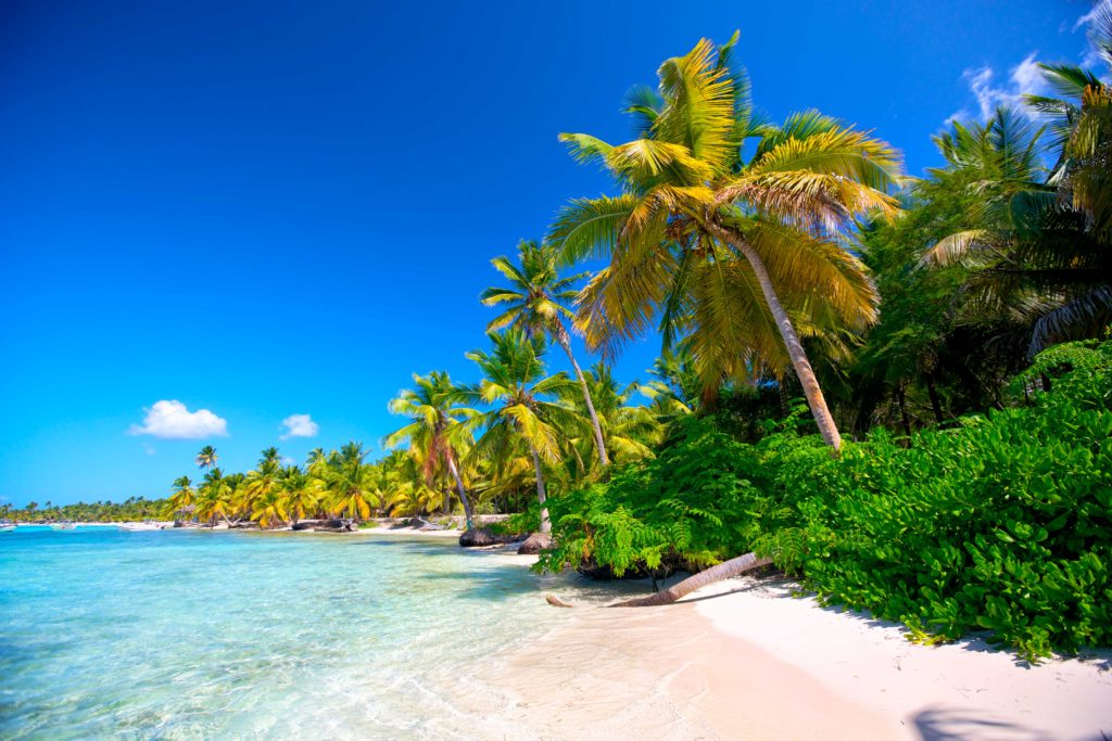 Do I Need Vaccinations For The Caribbean Catalonia Hotels Resorts Blog do-i-need-vaccinations-for-the-caribbean-catalonia-hotels-resorts-blog