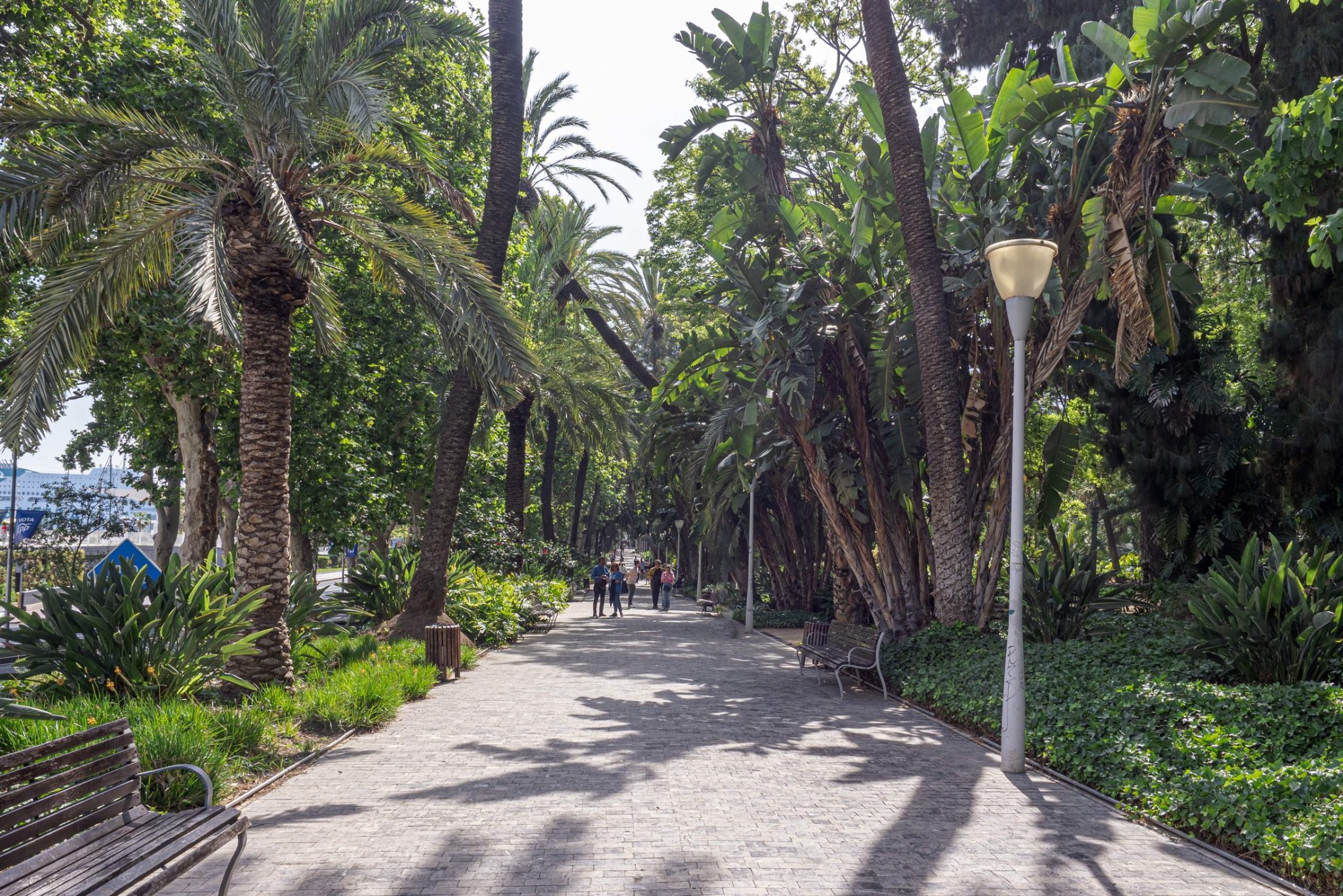 The 15 best things to do in Málaga | Guía de Viajes | Catalonia Hotels ...